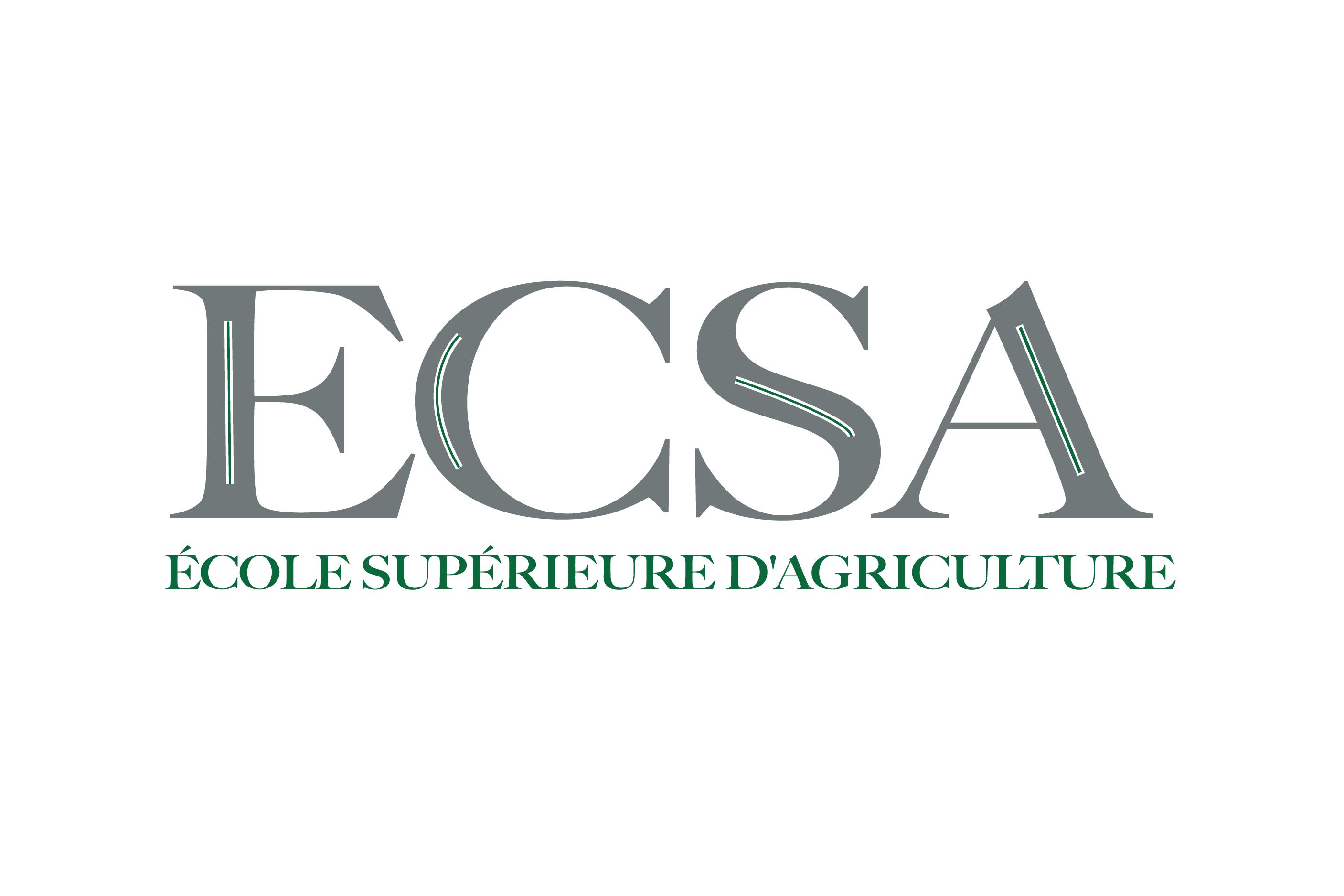 Logo ECSA2-05 - IUGET